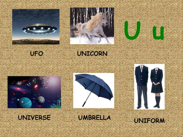 Power point Miguel | PPS