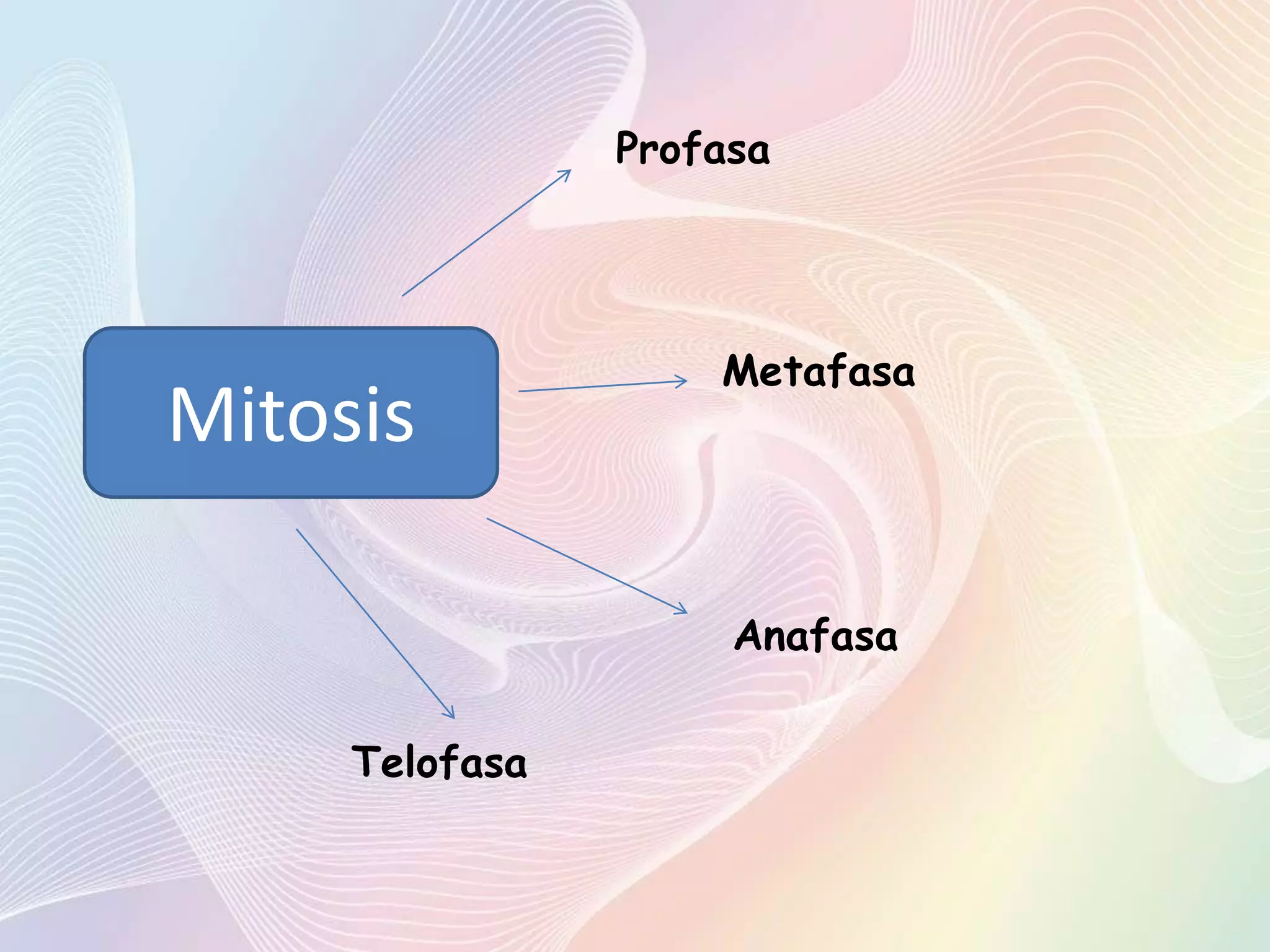 5.1 Mitosis tingkatan 4 | PPTX