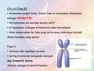 5.1 Mitosis tingkatan 4 | PPTX