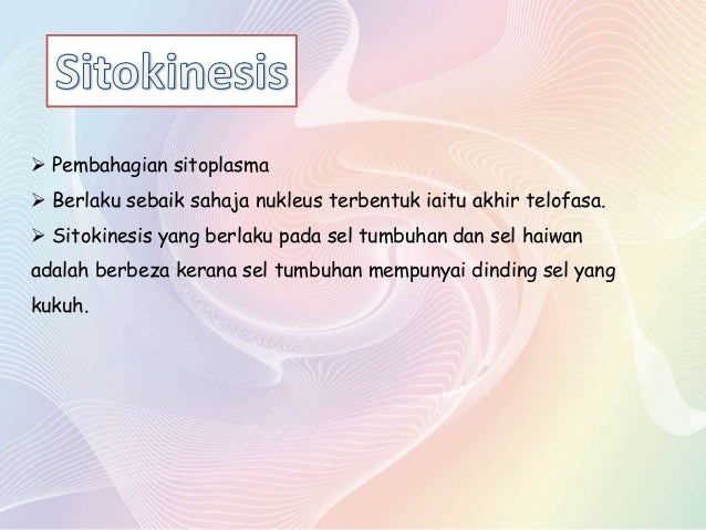 Proses Sitokinesis Haiwan Ting 4 Biologi | haiwancua
