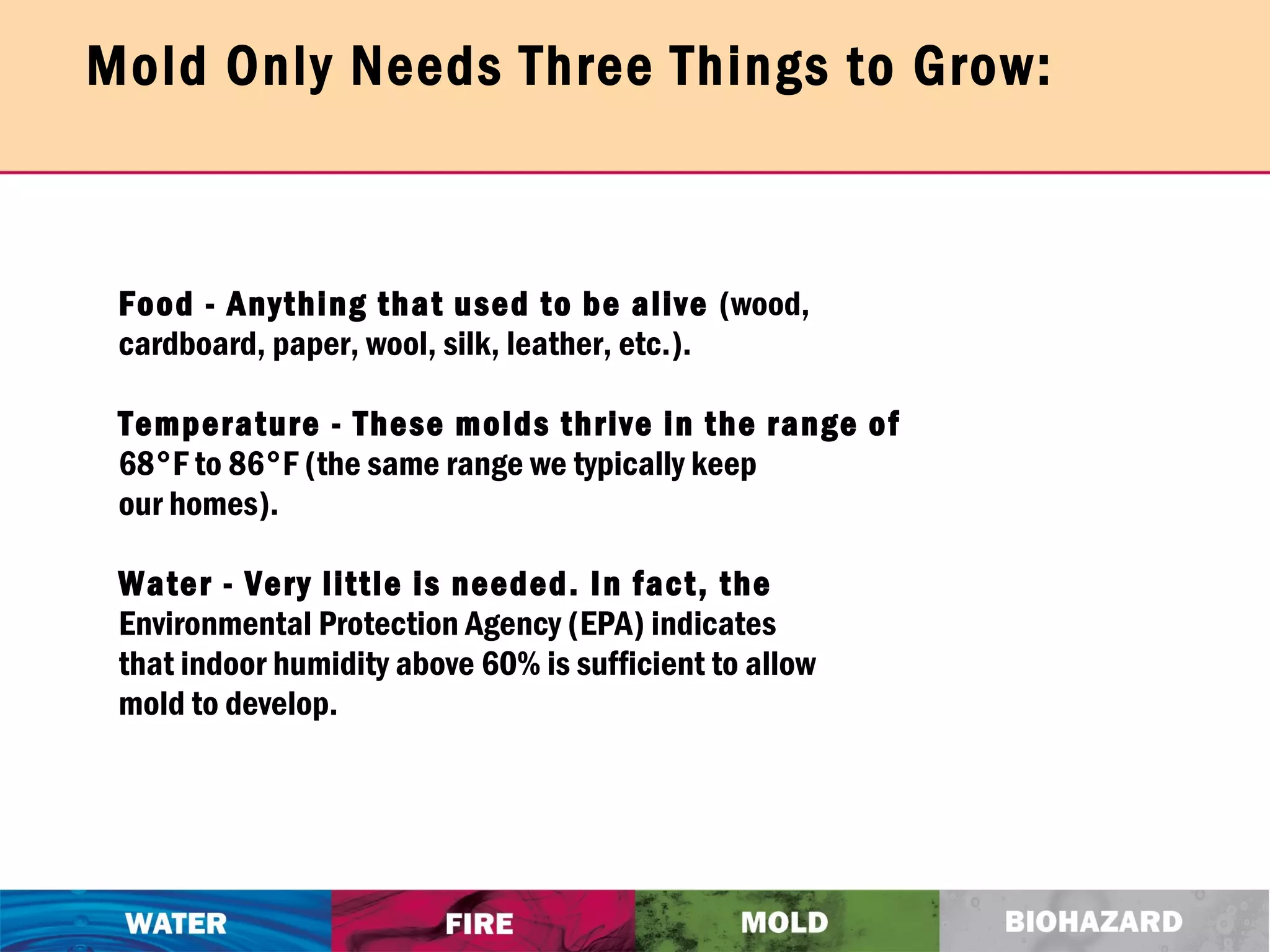 Power Point Mold | PPT