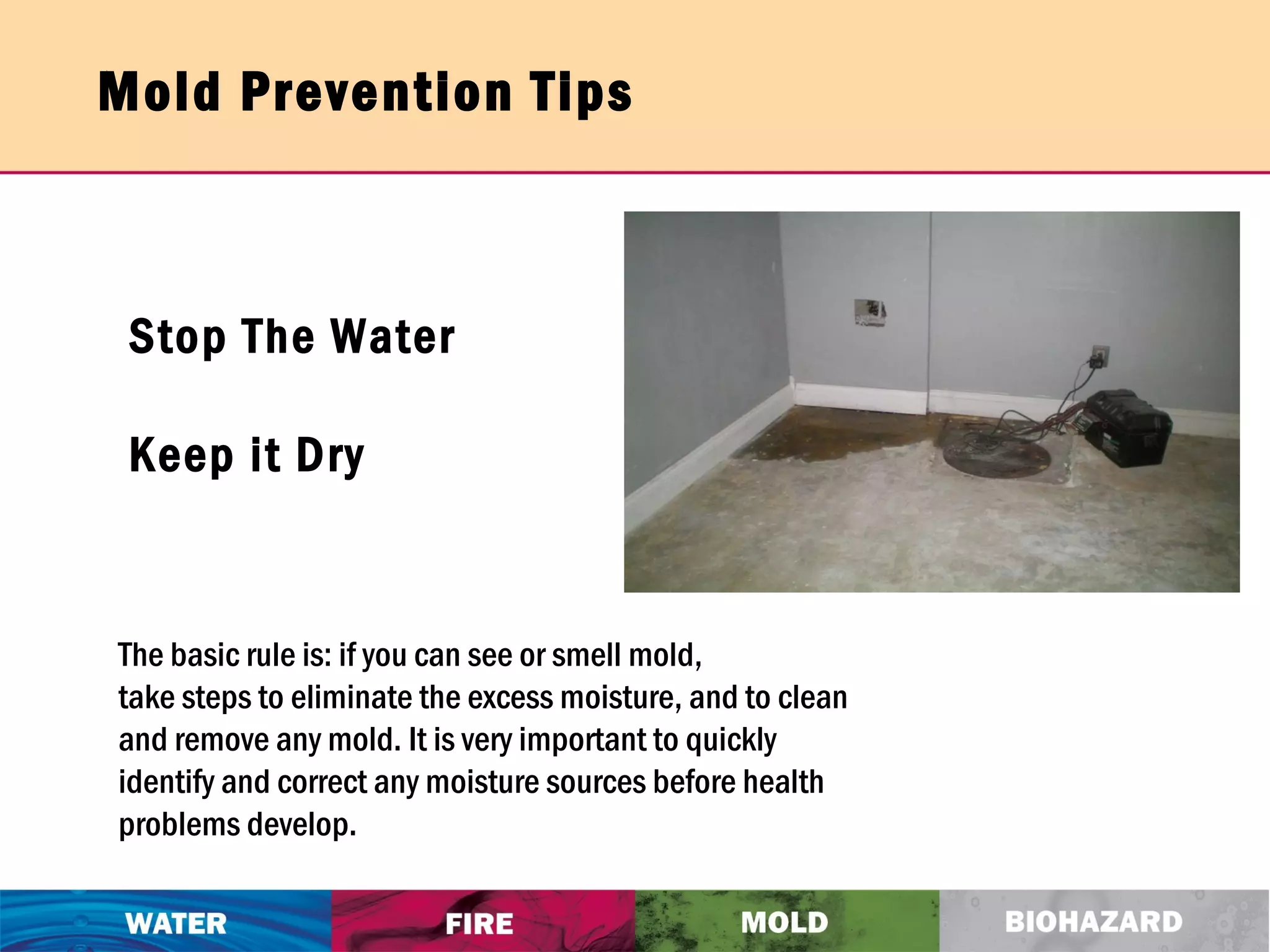 Power Point Mold | PPT