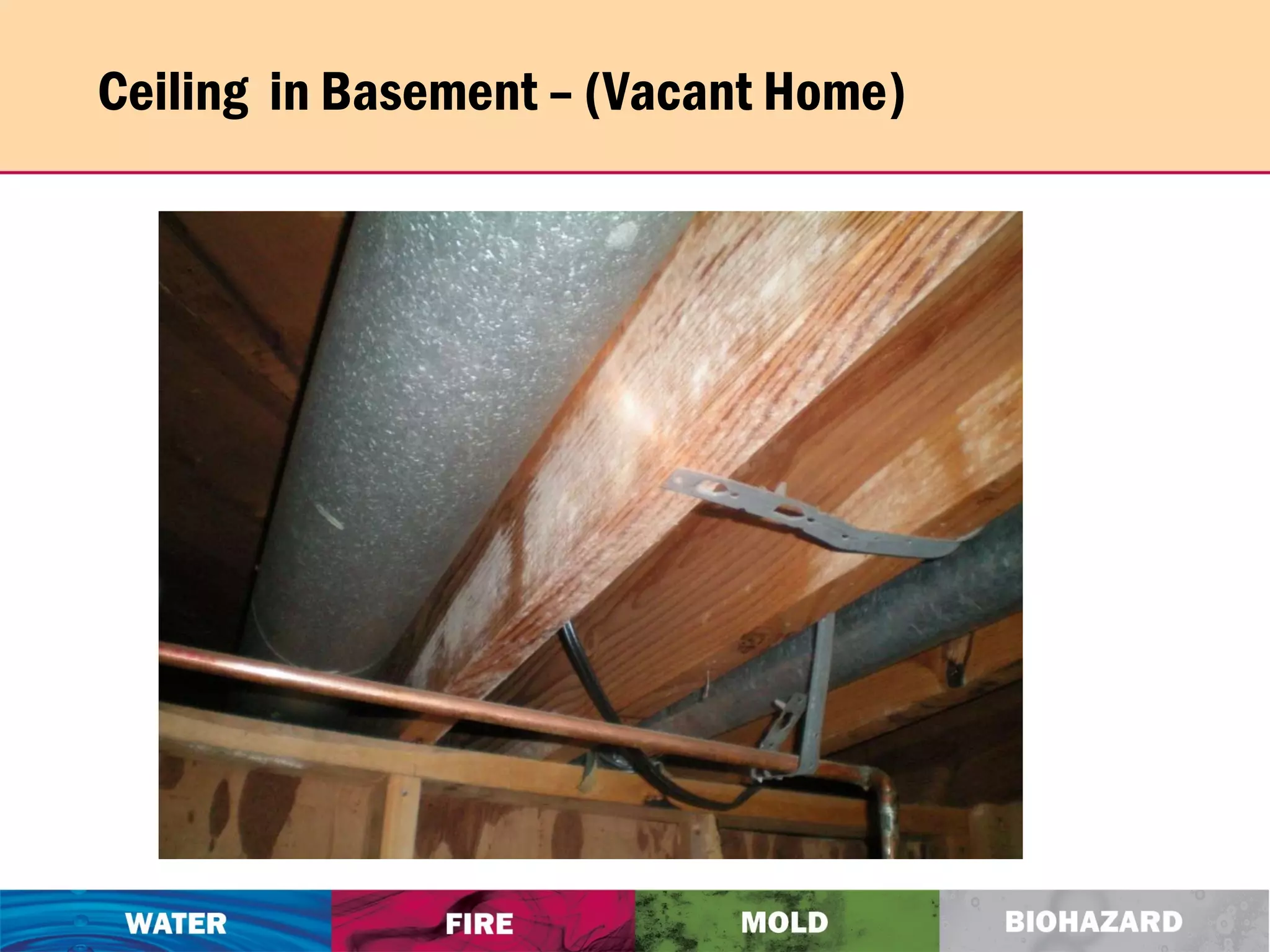 Power Point Mold | PPT