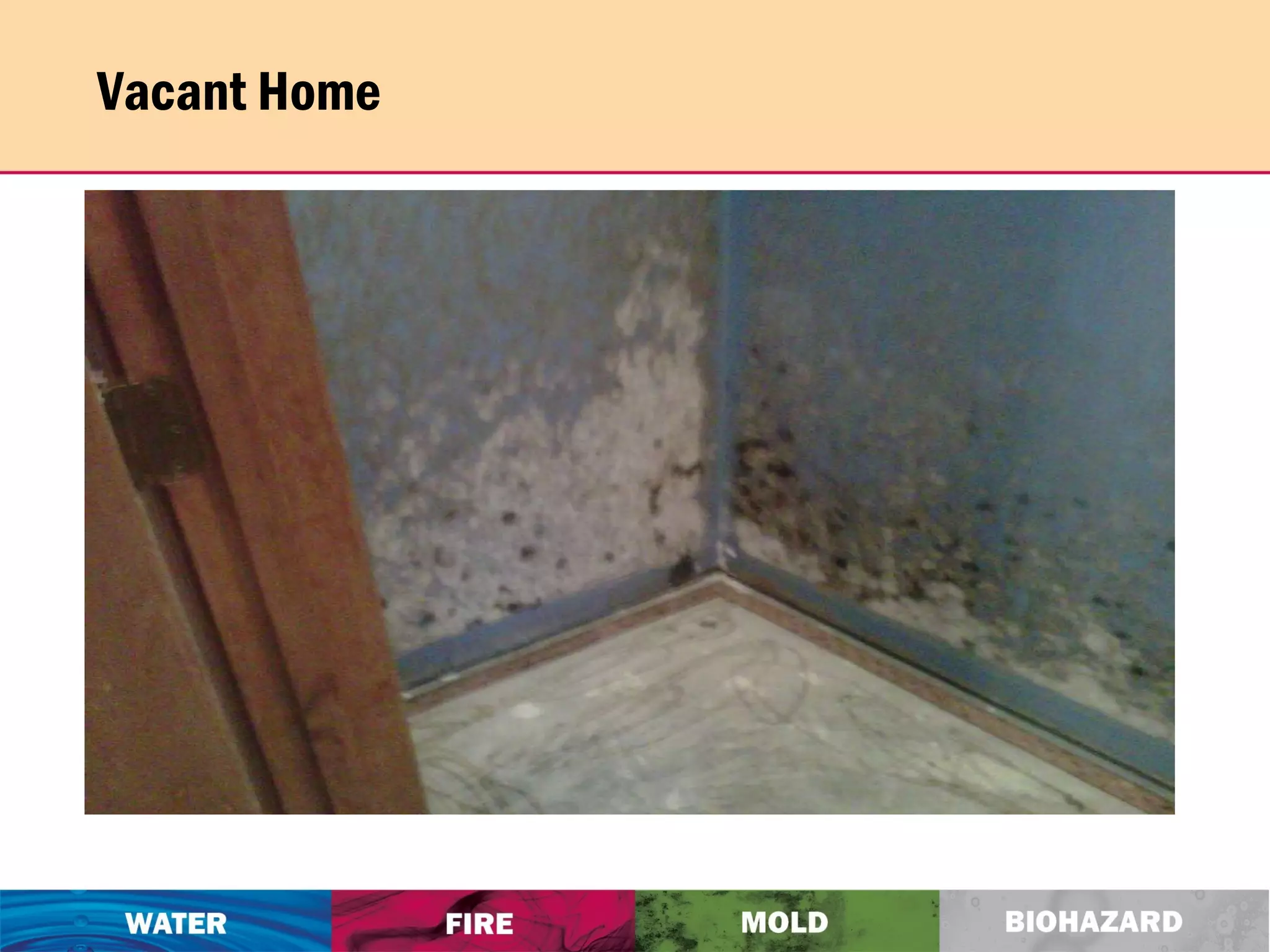 Power Point Mold | PPT