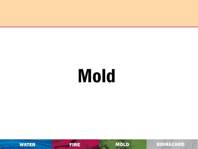 Power Point Mold | PPT | Indoor Environmental Quality | Home & Garden