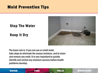 Power Point Mold | PPT