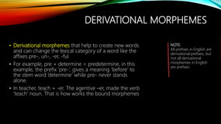 Power point _morphology | PPTX