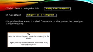 Power point _morphology | PPT