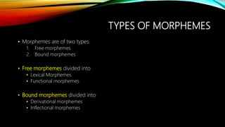 Power point _morphology | PPT