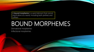 Power point _morphology | PPT