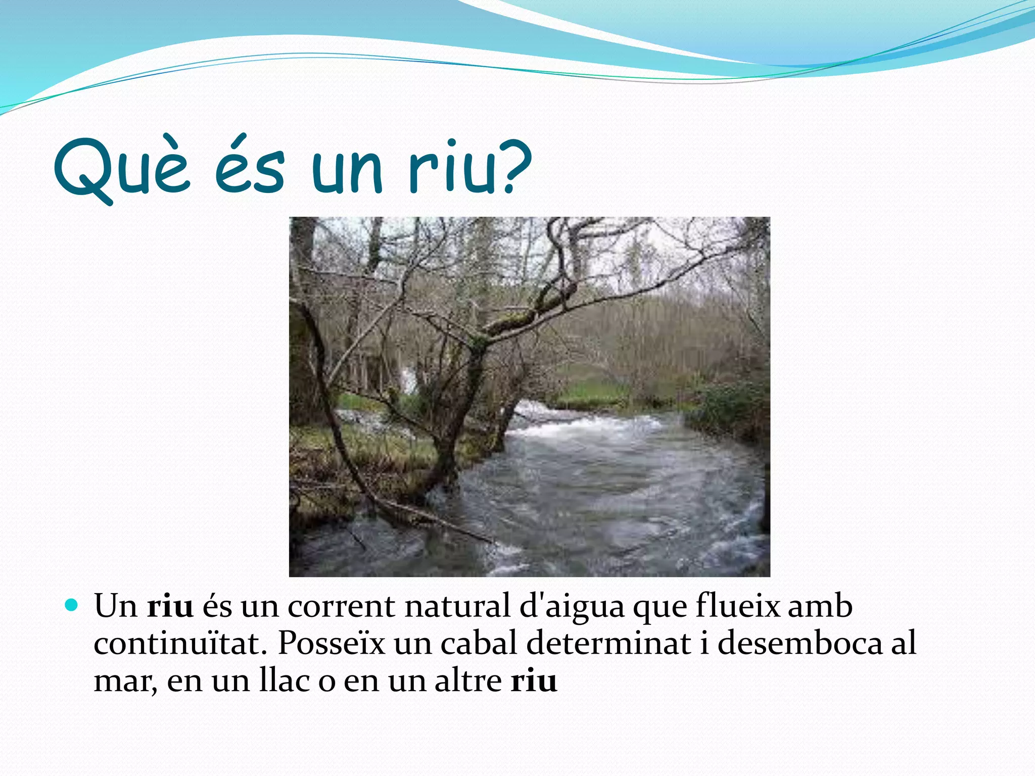 Powerpoint natus | PPTX