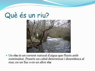 Powerpoint natus | PPTX