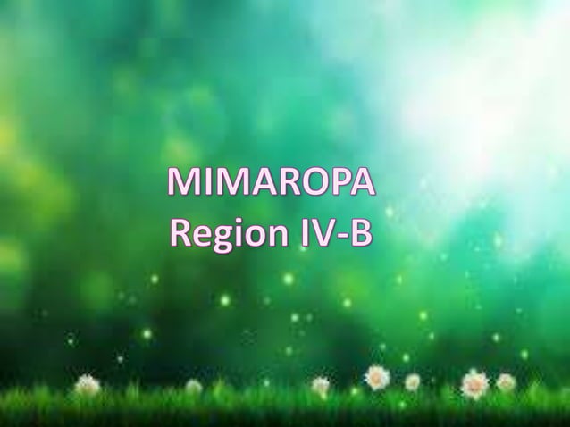 Rehiyon 4-B MIMAROPA | PPT