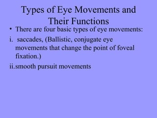 Oculomotor System within human central system | PPT