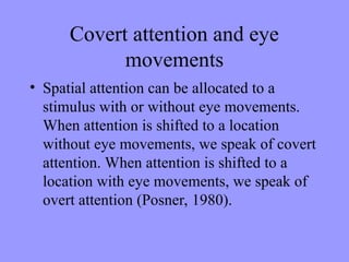 Oculomotor System within human central system | PPT