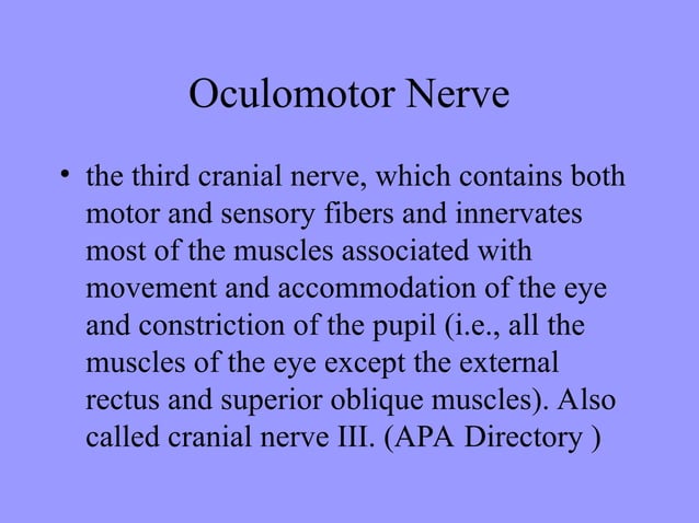 Oculomotor System within human central system | PPT | Eye and Vision ...