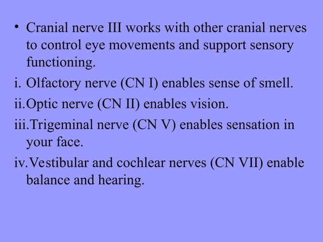 Oculomotor System within human central system | PPT | Eye and Vision ...