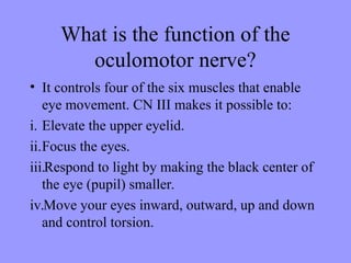 Oculomotor System within human central system | PPT