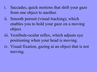 Oculomotor System within human central system | PPT