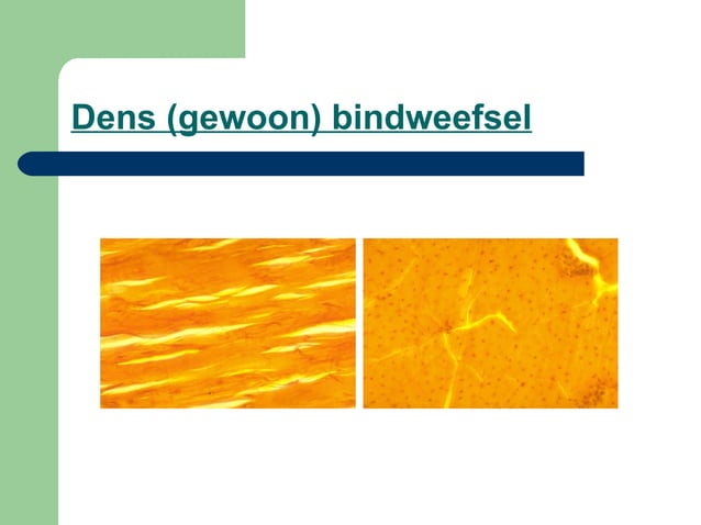 Powerpoint Oef2 Eve De Groof | PPT