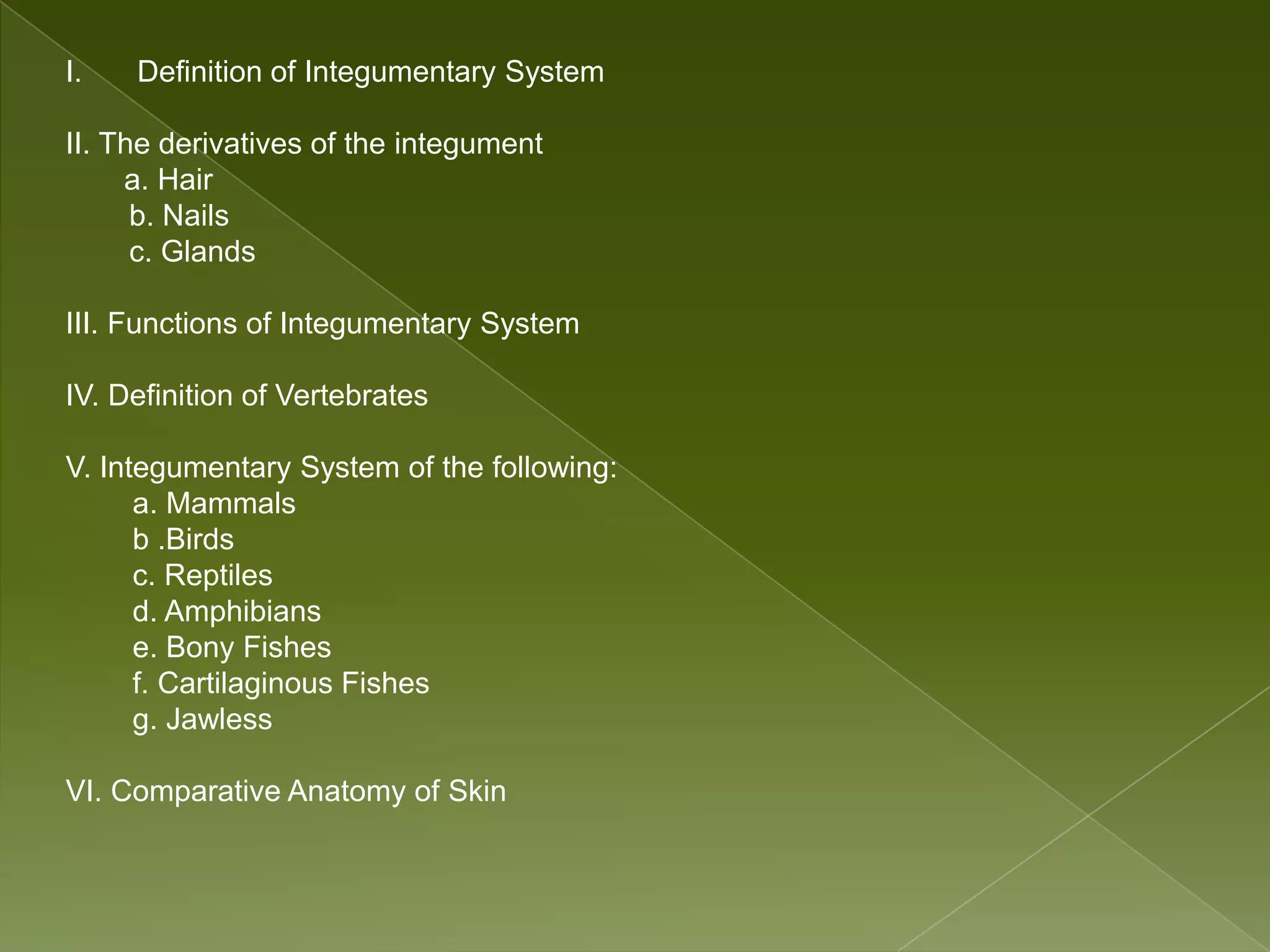 Powerpoint of integumentary system of vertebrates | PPTX