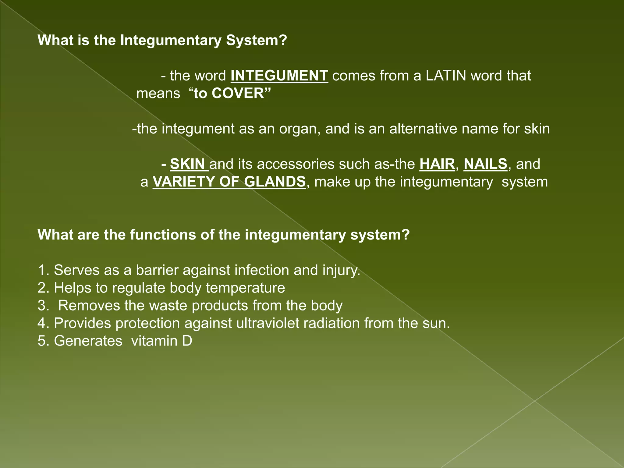 Powerpoint of integumentary system of vertebrates | PPTX