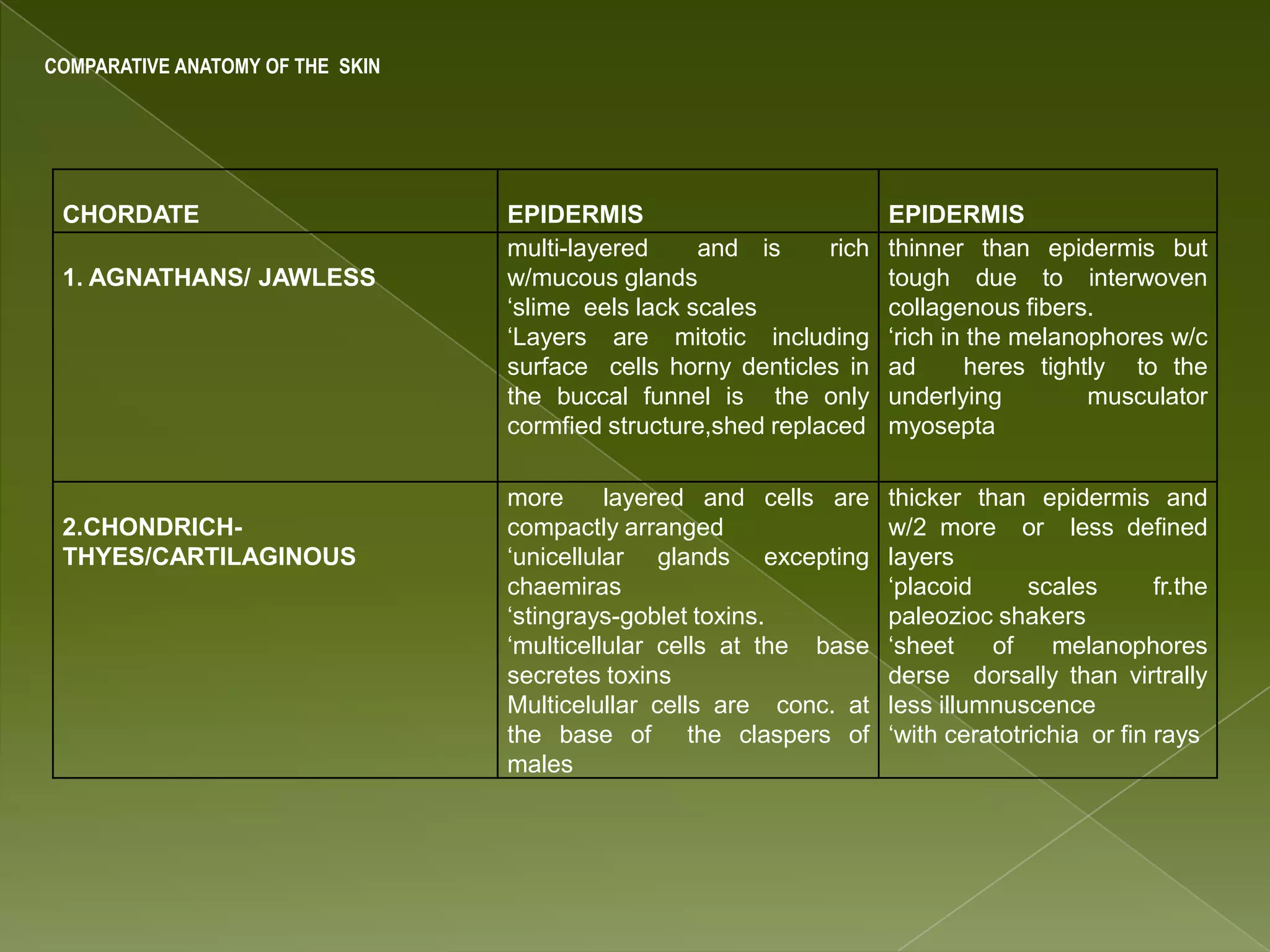 Powerpoint of integumentary system of vertebrates | PPTX