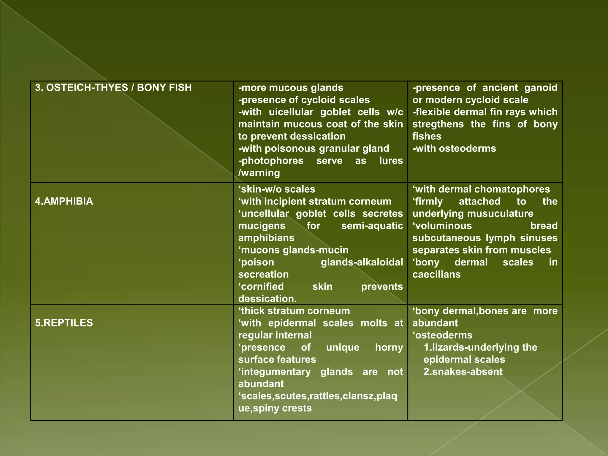 Powerpoint of integumentary system of vertebrates | PPTX
