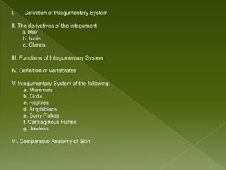 Powerpoint of integumentary system of vertebrates | PPTX