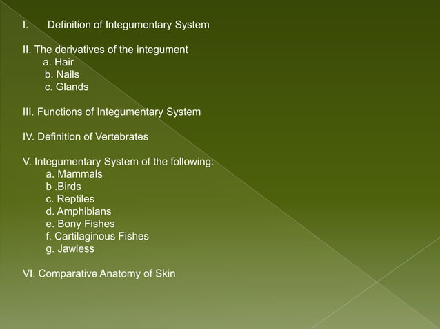 Powerpoint of integumentary system of vertebrates | PPTX