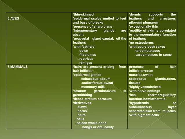 Powerpoint of integumentary system of vertebrates | PPTX