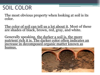 Types Of Soil: Sandy Soil Loamy Soil Clayey Soil PDF, 40% OFF