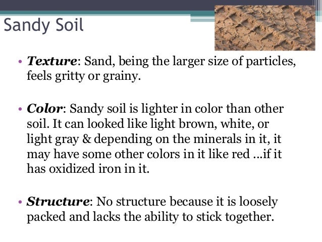 Colors Of Silt Particles