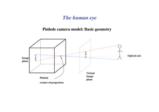 Powerpoint on the eye | PPT