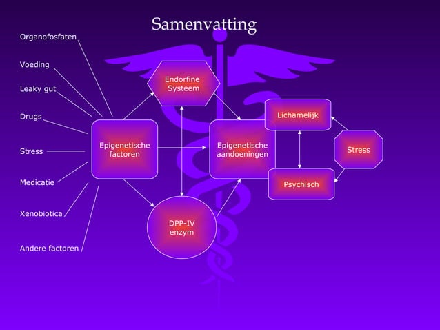 Nieuwe inzichten in de behandeling van ADHD | PPT