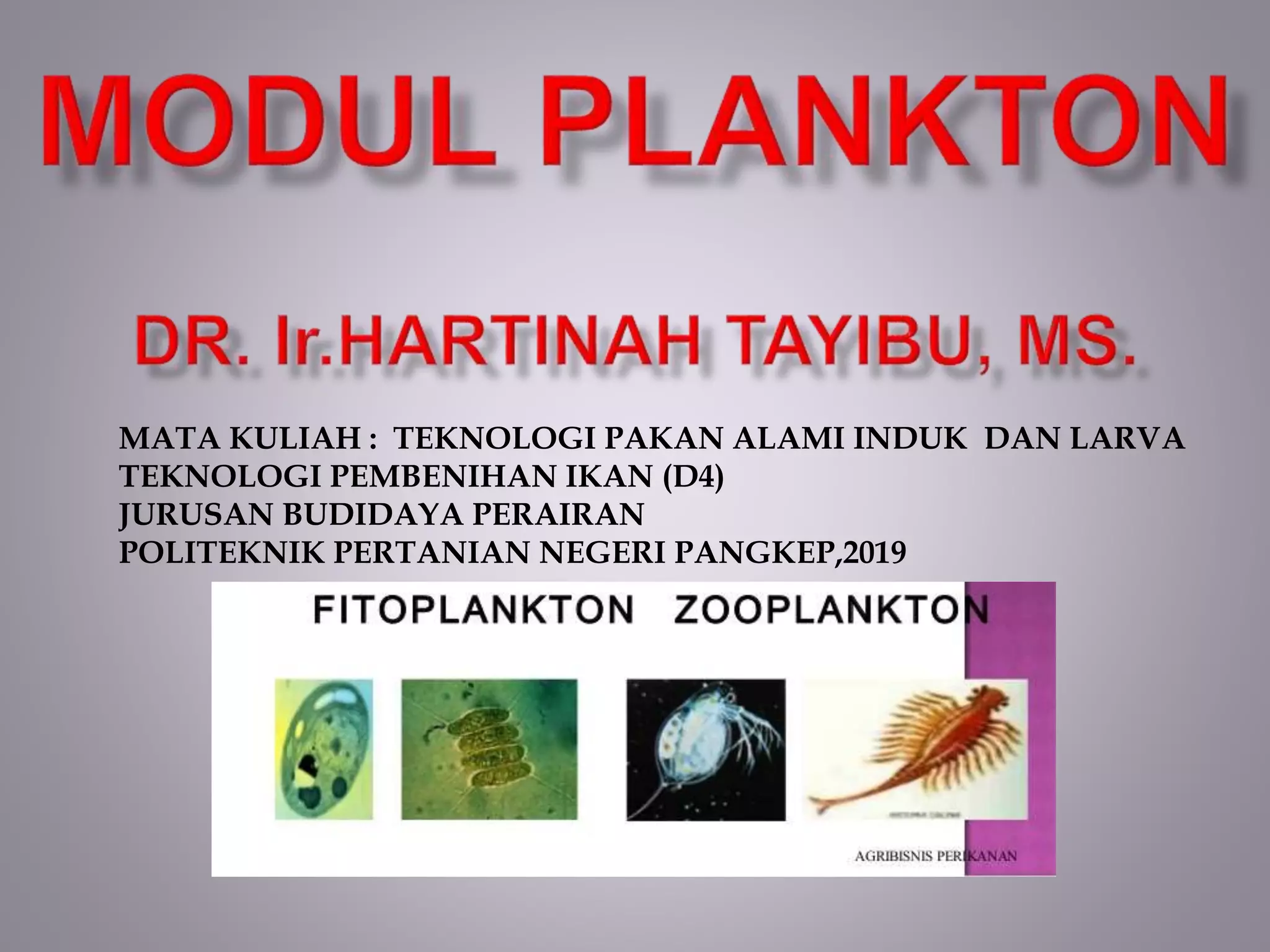 Power_point_pakan_alami_D4_pptx.pptx