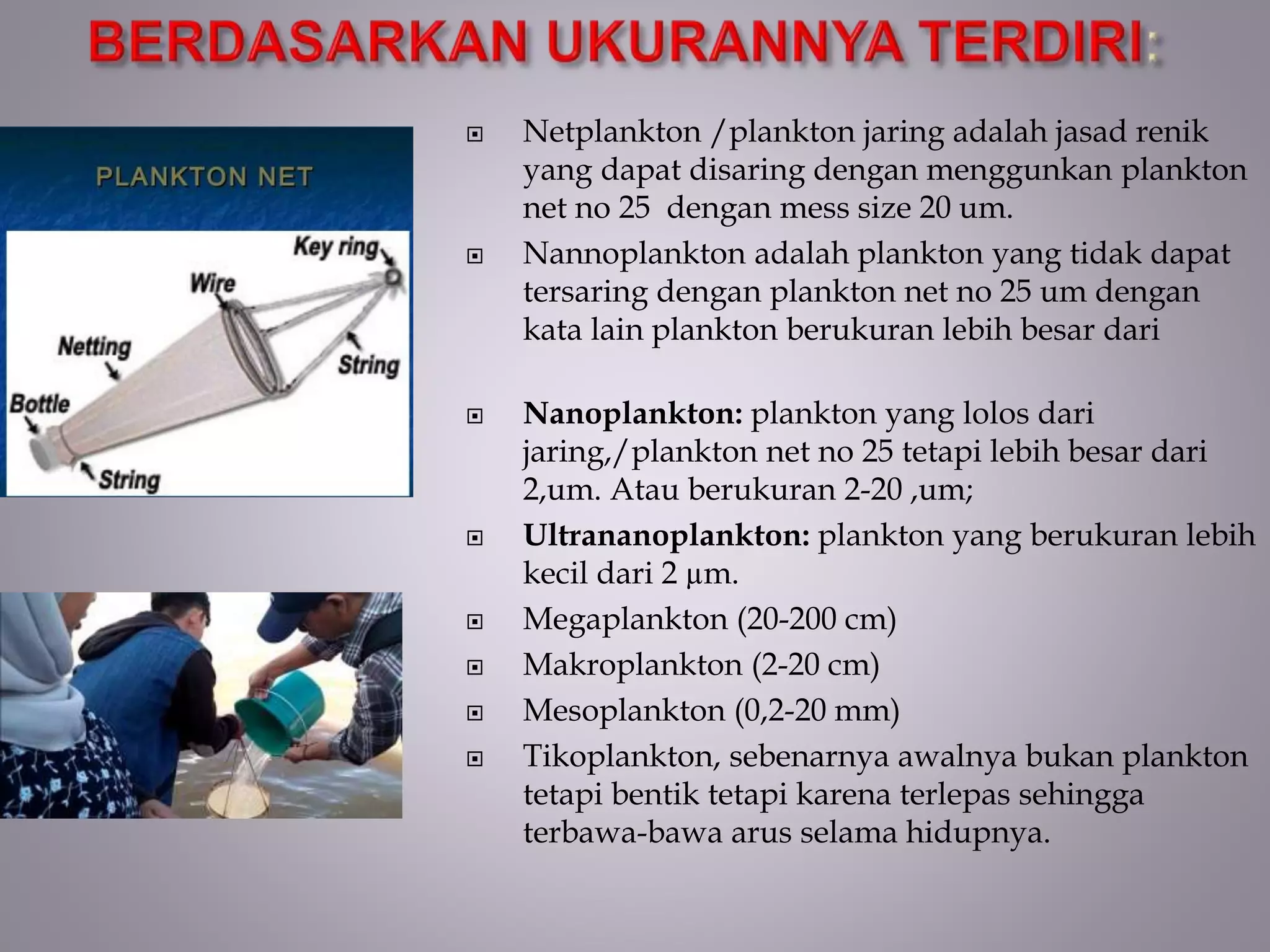 Power_point_pakan_alami_D4_pptx.pptx