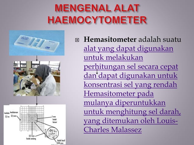 Power_point_pakan_alami_D4_pptx.pptx