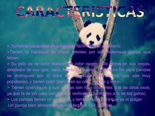 Powerpoint panda | PPTX