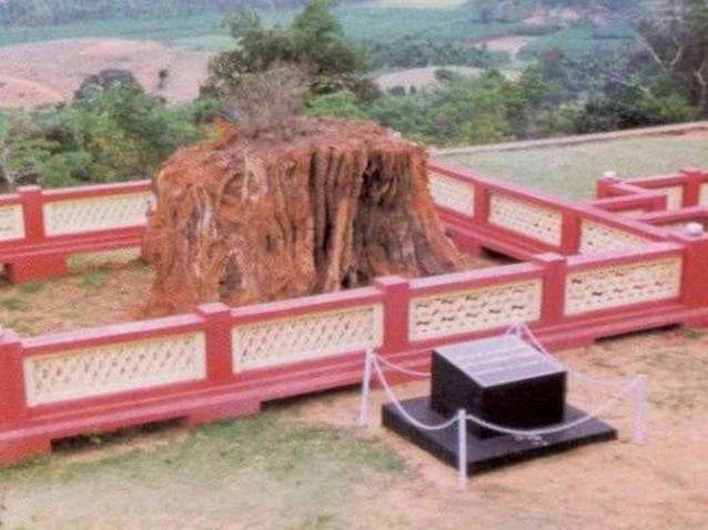 Power point pazhassi raja .gayathry t.m | PPTX