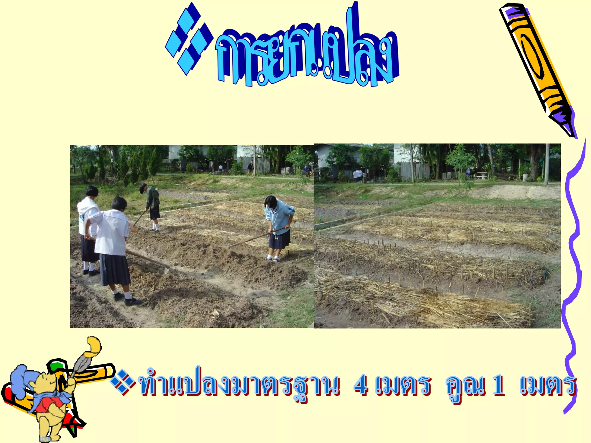 Power point ped.1 | PDF