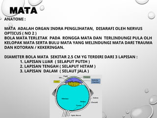 Power Point Penyuluhan ANATOMI PANCA INDRA.ppt
