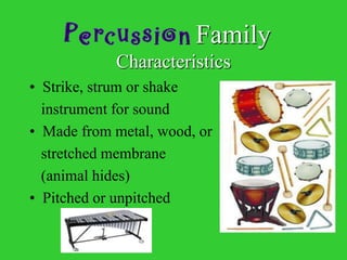 Percussion Instrument Family