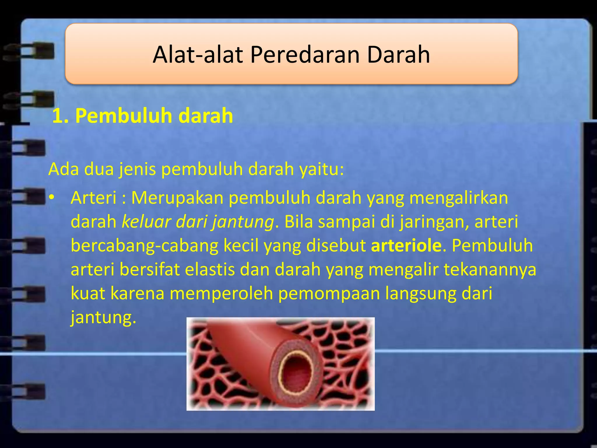 Power point peredaran darah | PPTX