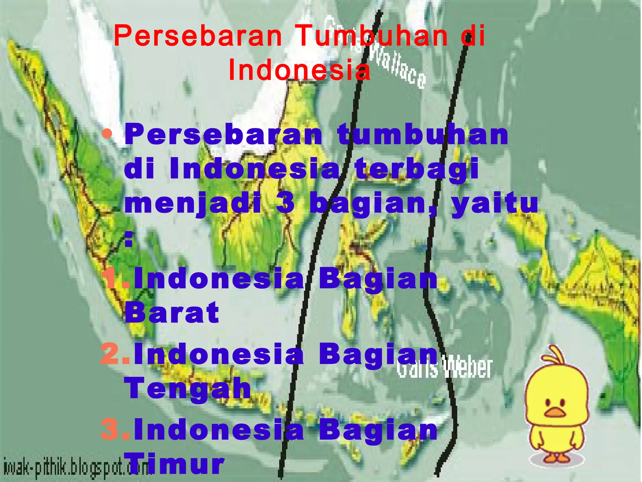Powerpoint persebaran flora fauna di indonesia | PPT