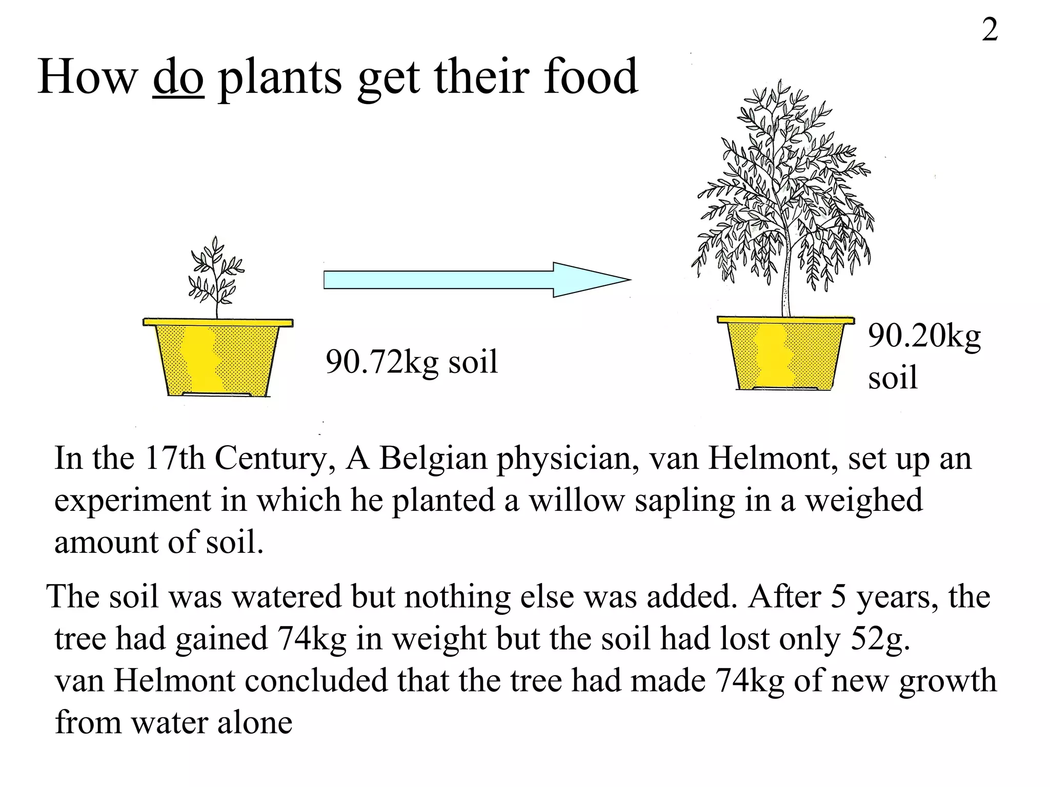 Powerpoint photosynthesis,how plants-get-food (1) | PPT