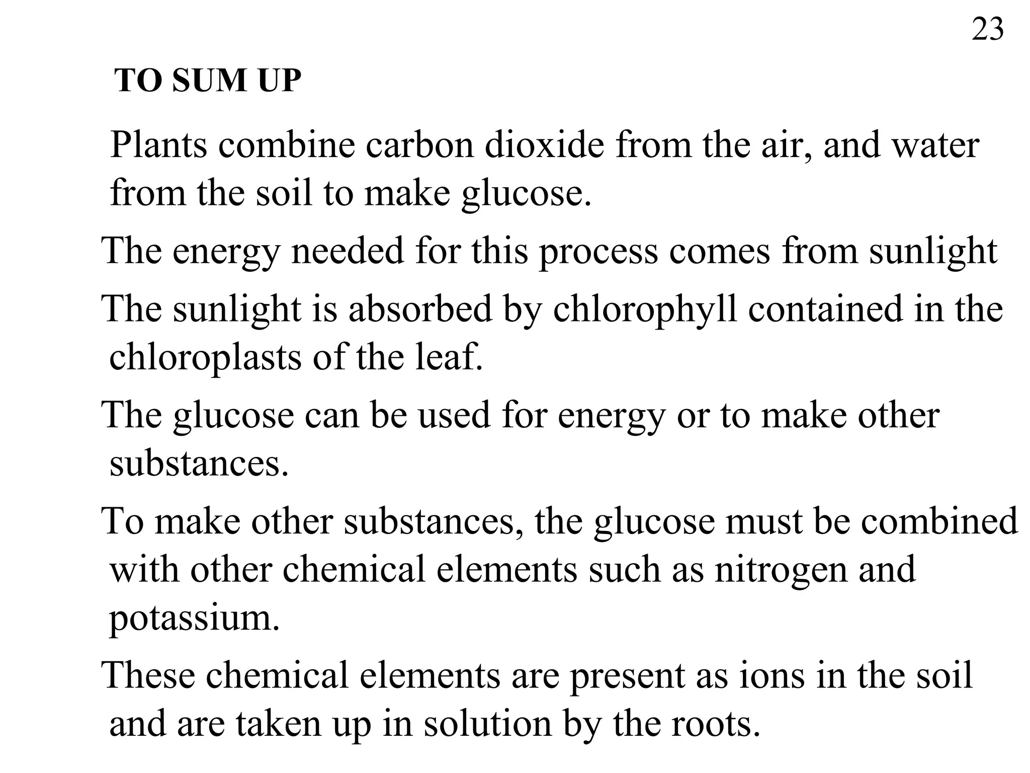 Powerpoint photosynthesis,how plants-get-food (1) | PPT