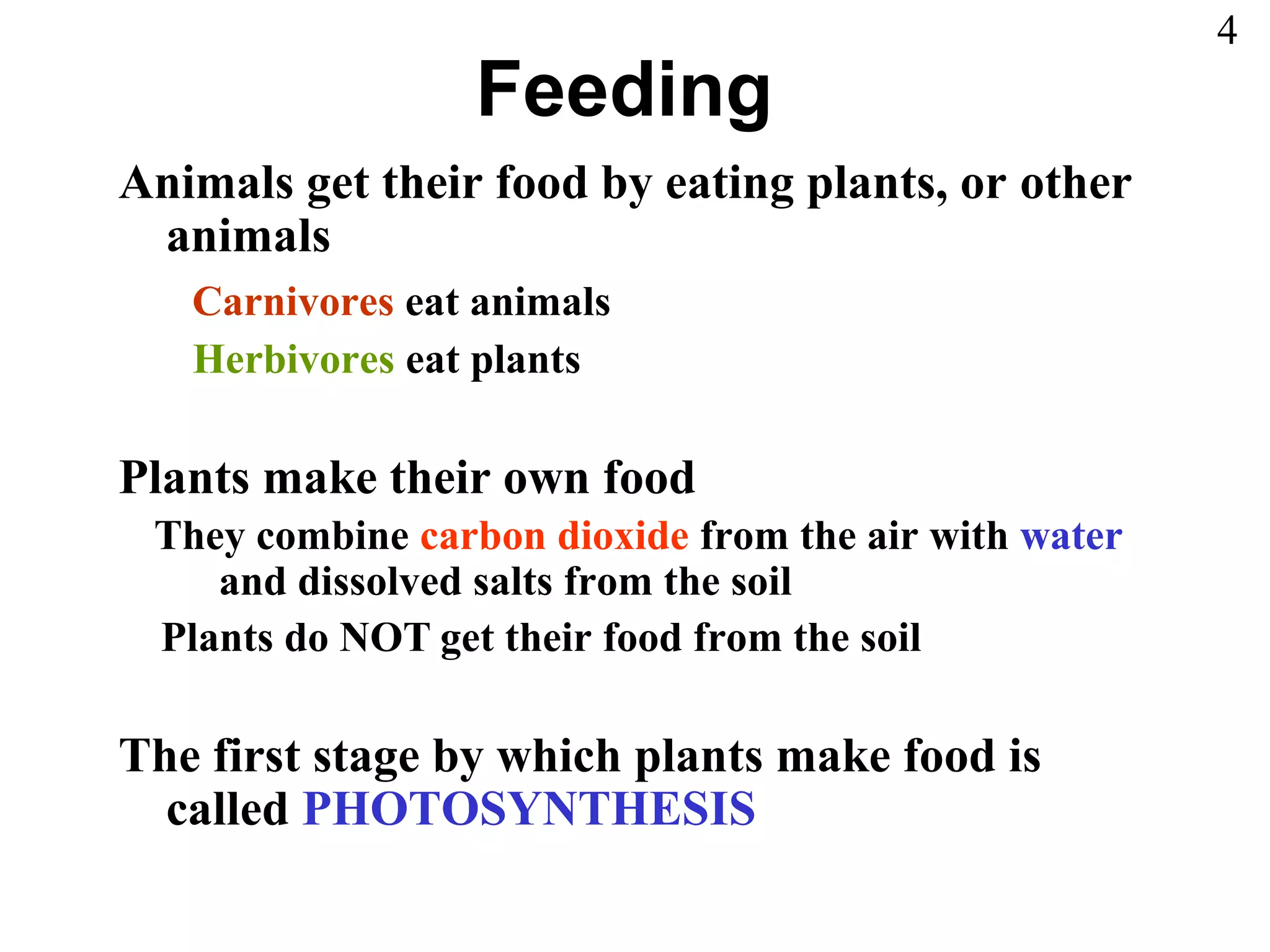 Powerpoint photosynthesis,how plants-get-food (1) | PPT
