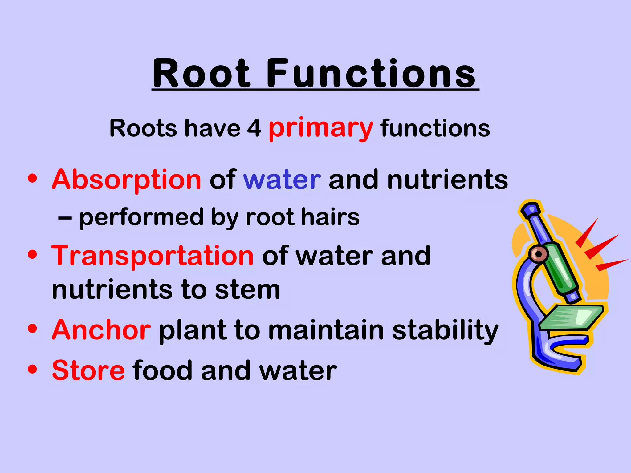 Powerpoint plant parts for science gr 5 | PPT