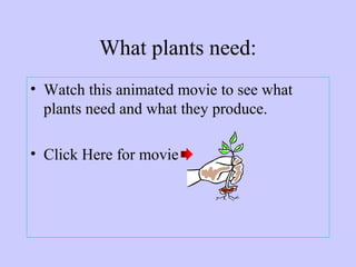 Powerpoint plant parts for science gr 5 | PPT